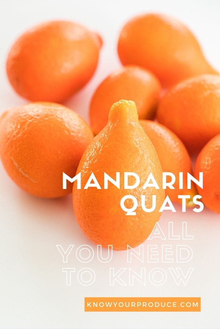 Mandarinquat - Know Your Produce
