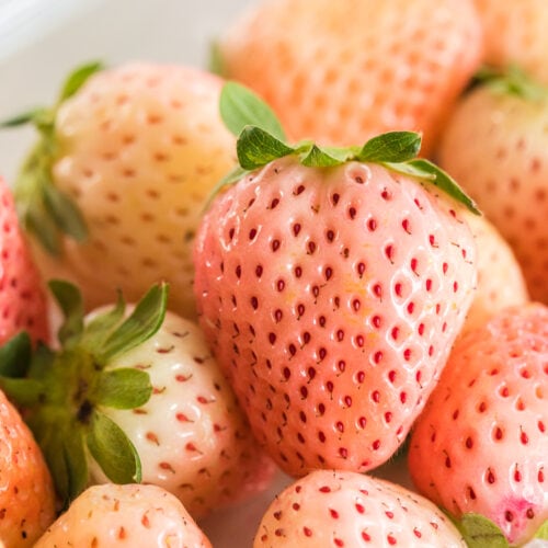 Pineberries - Know Your Produce