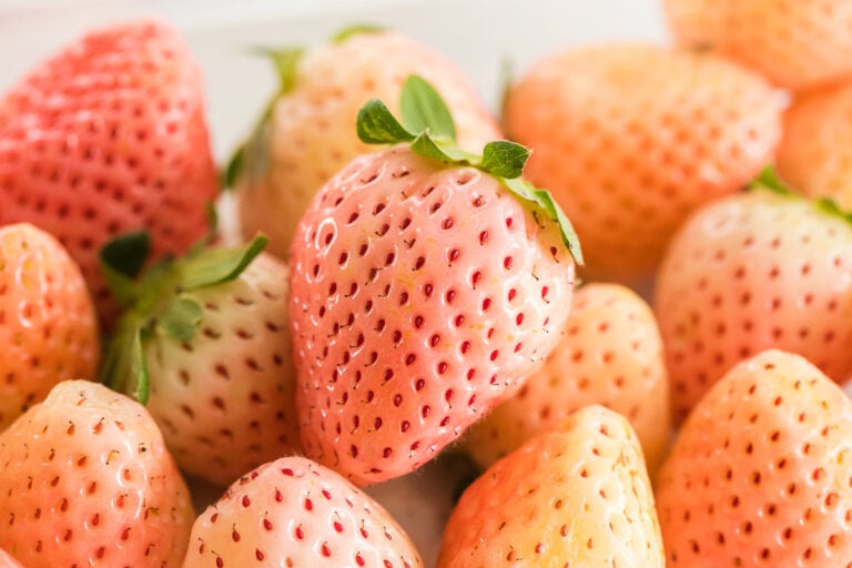 Pineberries - Know Your Produce